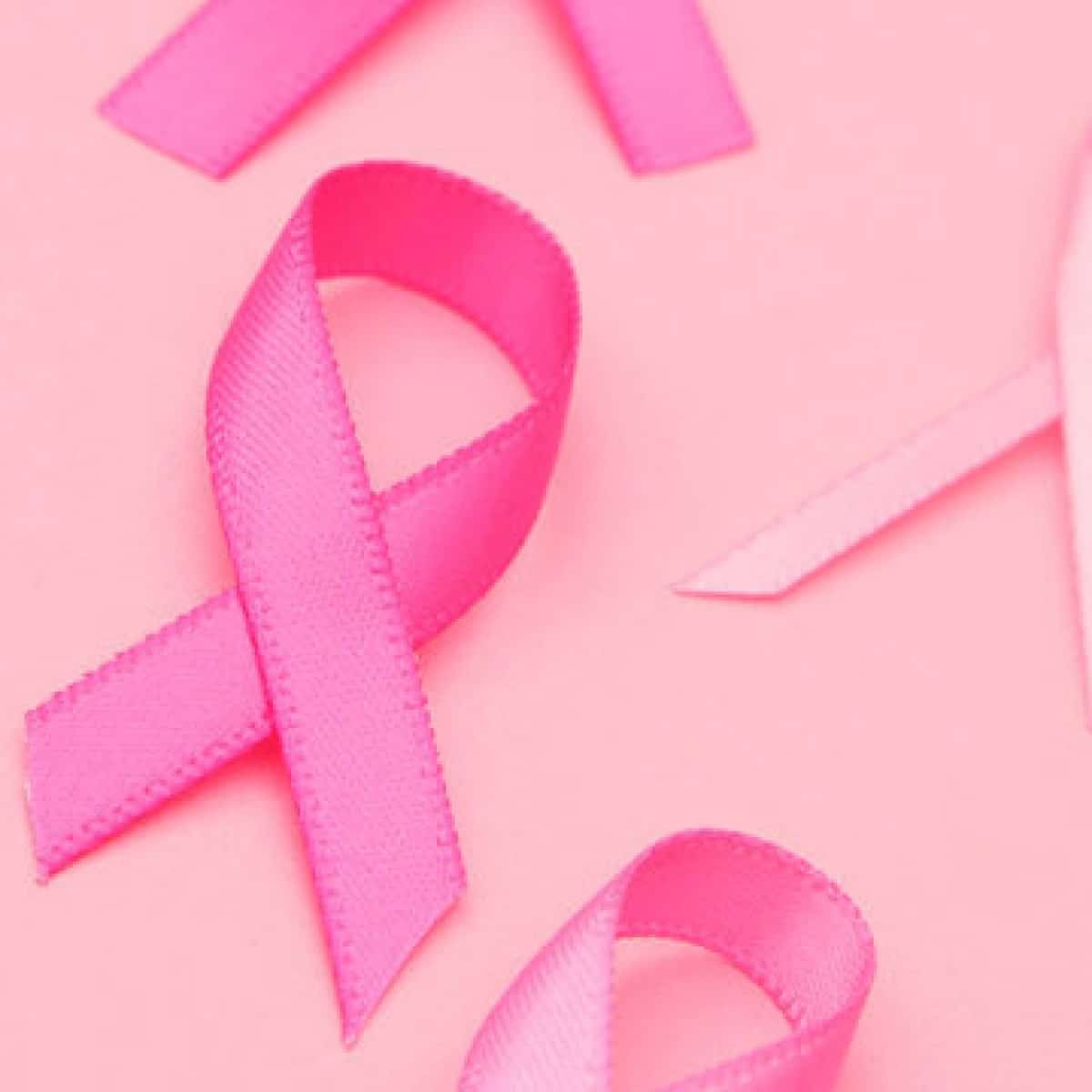 NATIONAL BRA DAY October 18 2023 National Today NATIONAL BRA DAY October 18 2023 National Today