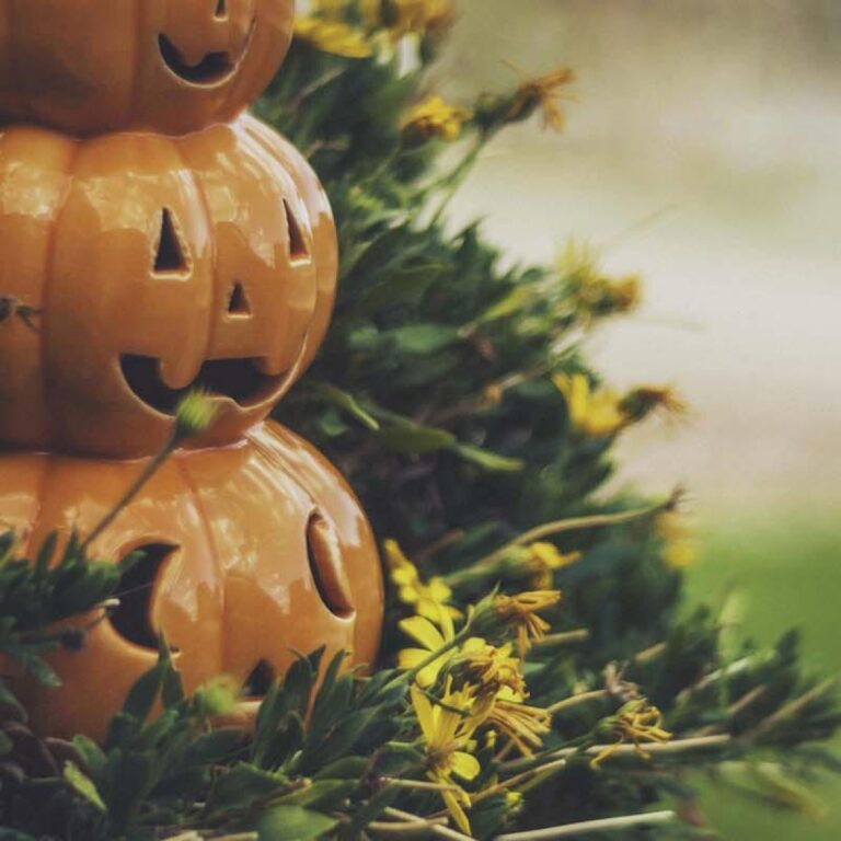 October 27 | Holidays, Birthdays, Events