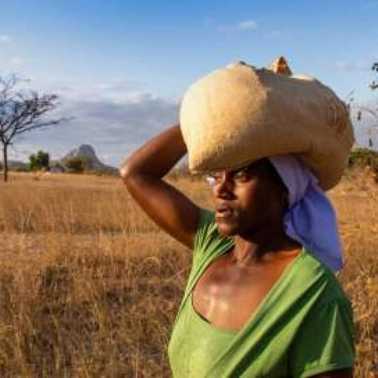 NATIONAL LIMERICK DAY - May 12, 2024 - National Today