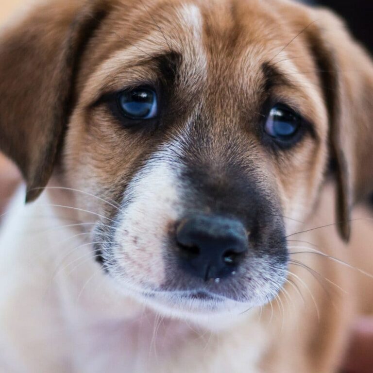 NATIONAL ANIME DAY - April 15, 2024 - National Today