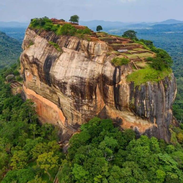 RABBIT WEEK - June 29 - July 6, 2026 - National Today