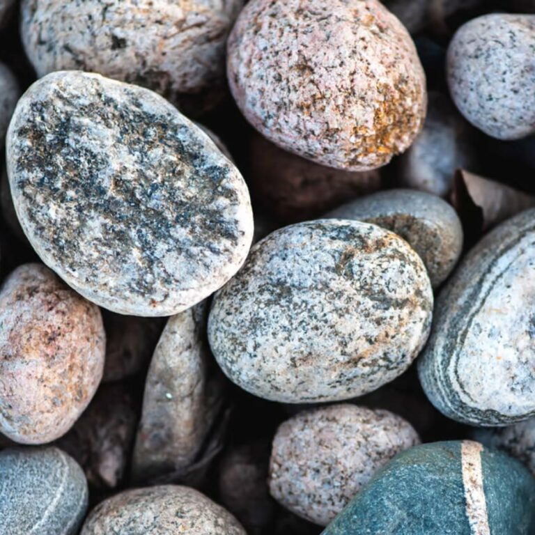 BEEF TALLOW DAY - July 13, 2024 - National Today