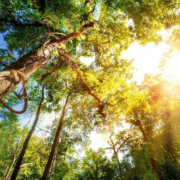 May 4 | Holidays, Birthdays, Events