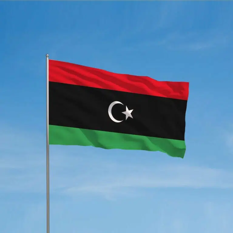 NATIONAL CABBAGE DAY - February 17, 2027 - National Today