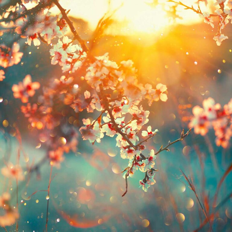 OKLAHOMA DAY - April 22, 2026 - National Today