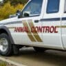 ANIMAL CONTROL APPRECIATION WEEK - April 12-18, 2026 - National Today