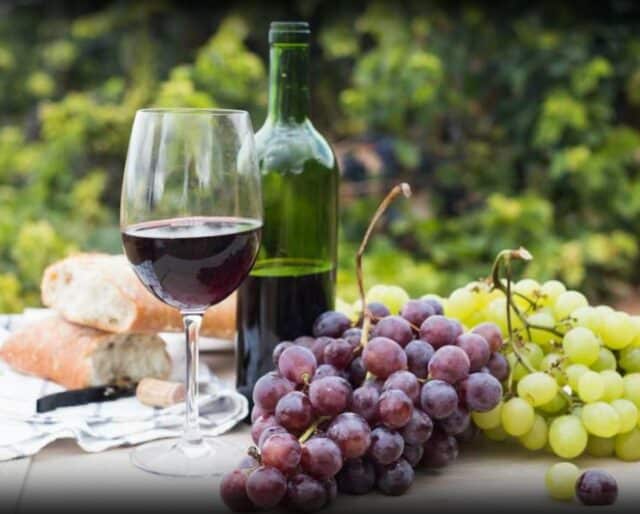 MALBEC WORLD DAY - April 17, 2023 - National Today