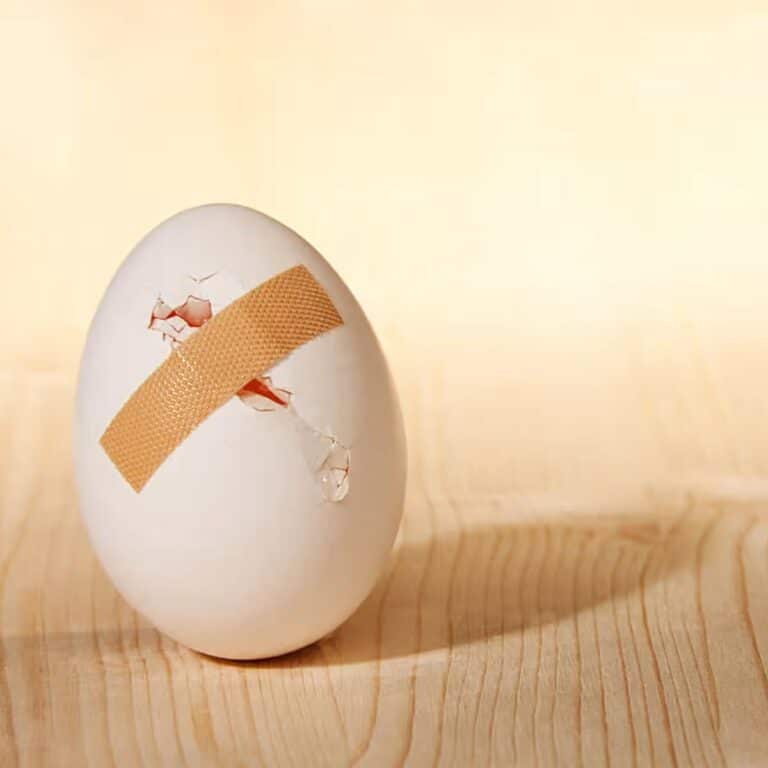 RAPTURE PARTY DAY - May 21, 2026 - National Today