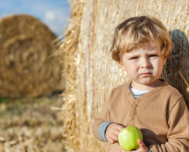 RURAL LIFE SUNDAY - May 21, 2023 - National Today