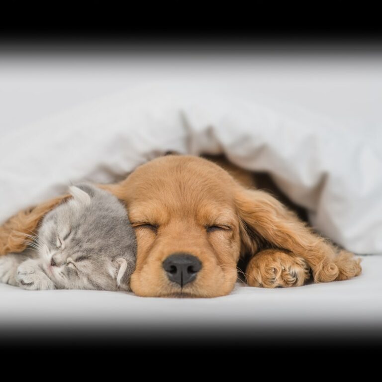 NATIONAL TIE DYE DAY - April 30, 2026 - National Today