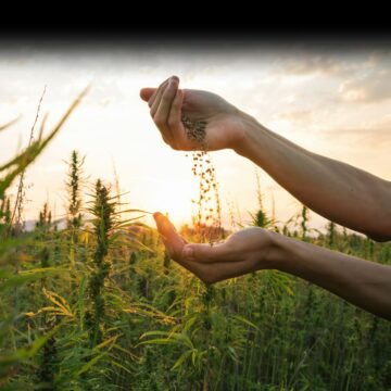 NATIONAL CHOCOLATE COVERED CASHEWS DAY - April 21, 2026 - National Today