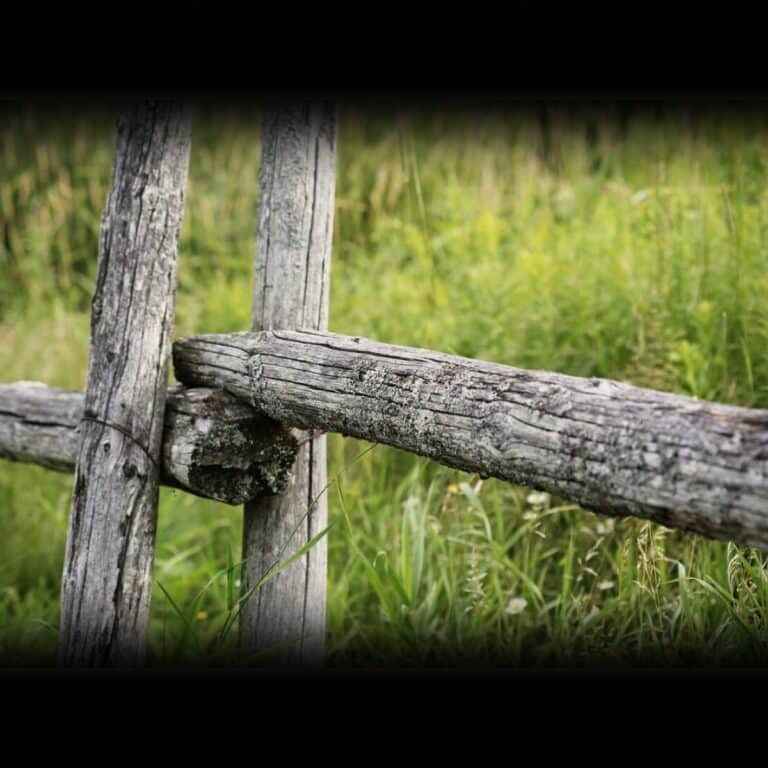 NATIONAL PENCIL DAY - March 30, 2026 - National Today