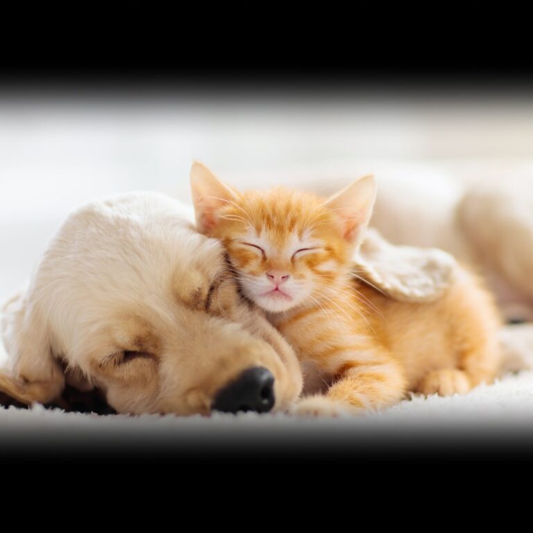 EVERY DAY IS TAG DAY - April 4, 2026 - National Today