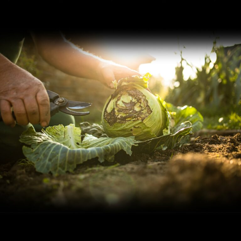 May 3 | Holidays, Birthdays, Events