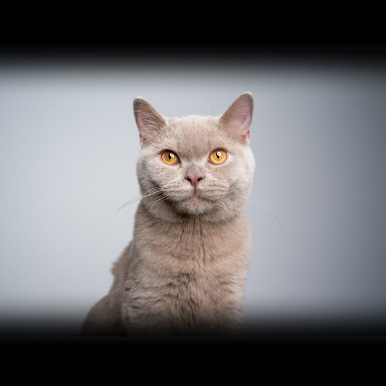 BABE RUTH DAY - April 27, 2025 - National Today