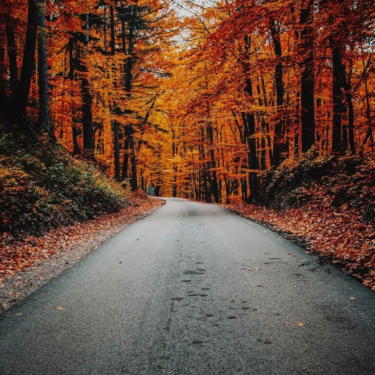 NATIONAL CHECKERS DAY - September 23, 2026 - National Today