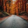 FIRST DAY OF AUTUMN - September 23, 2026 - National Today