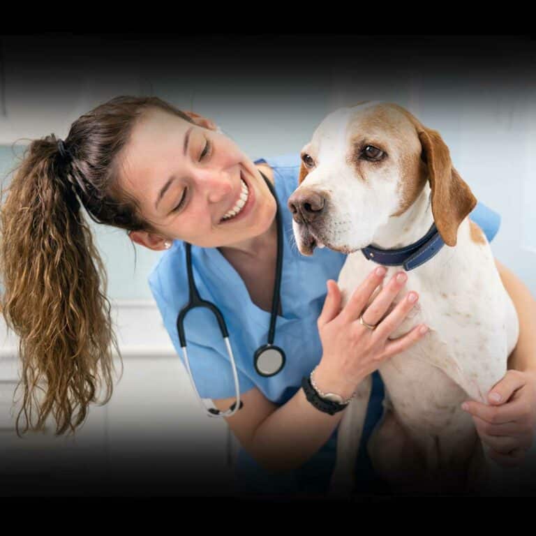 POET IN A CUPCAKE DAY - April 11, 2025 - National Today