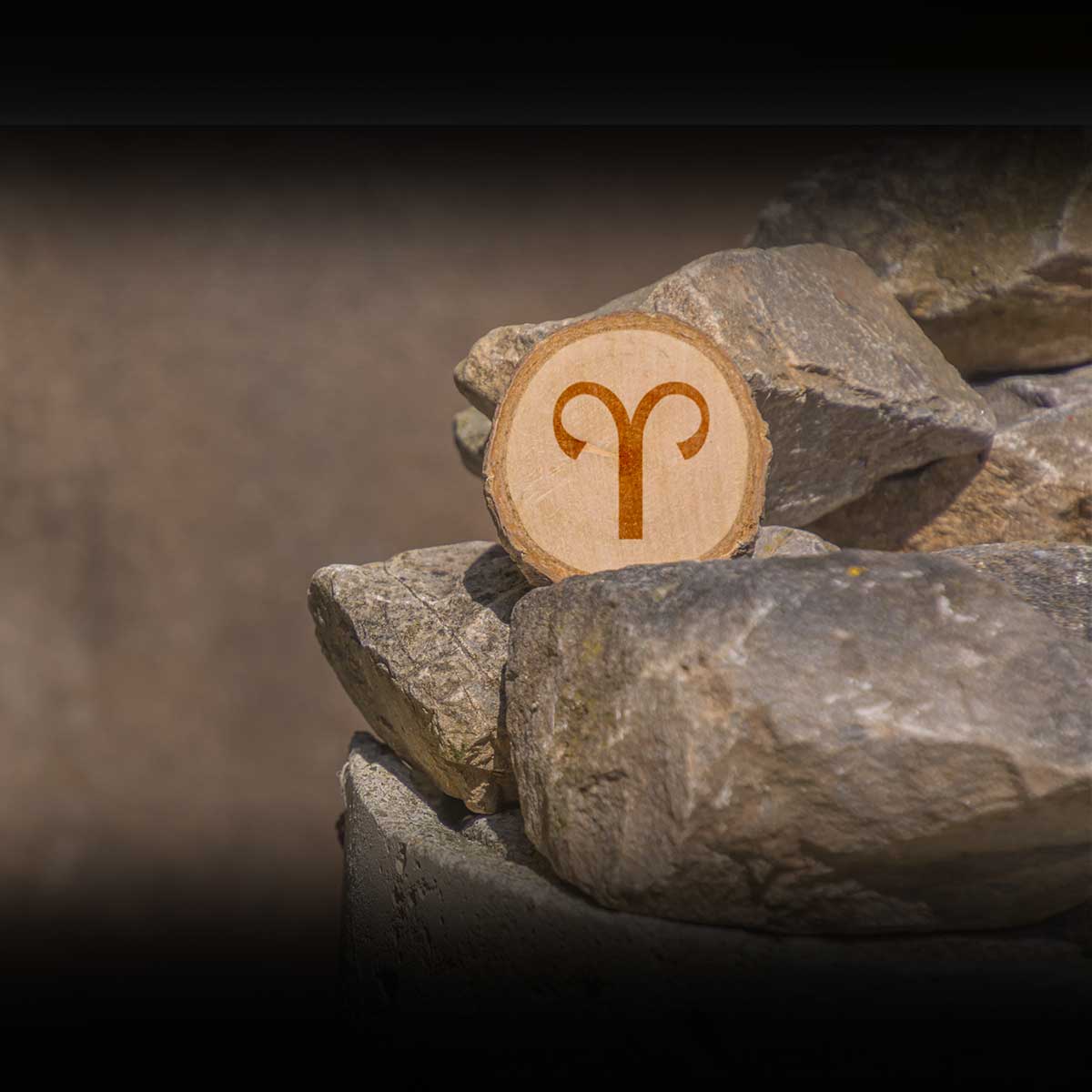 NATIONAL ARIES DAY March 21 2024 National Today NATIONAL ARIES DAY March 21 2024 National Today