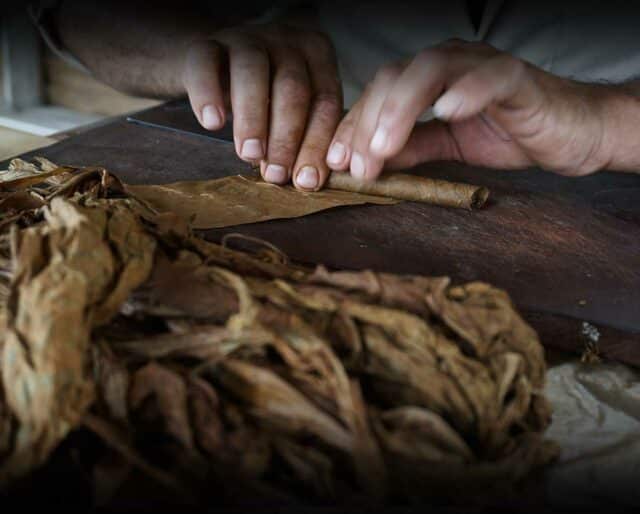 THROUGH WITH THE CHEW - February 18-24, 2024 - National Today