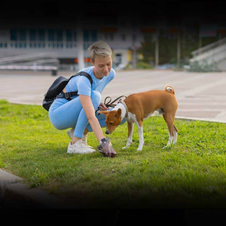 TALK LIKE SHAKESPEARE DAY - April 23, 2026 - National Today