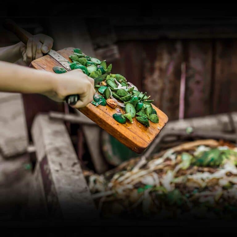 WHAT IF CATS AND DOGS HAD OPPOSABLE THUMBS? DAY - March 3, 2025 ...