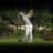 GOLFER’S DAY - April 10, 2027 - National Today