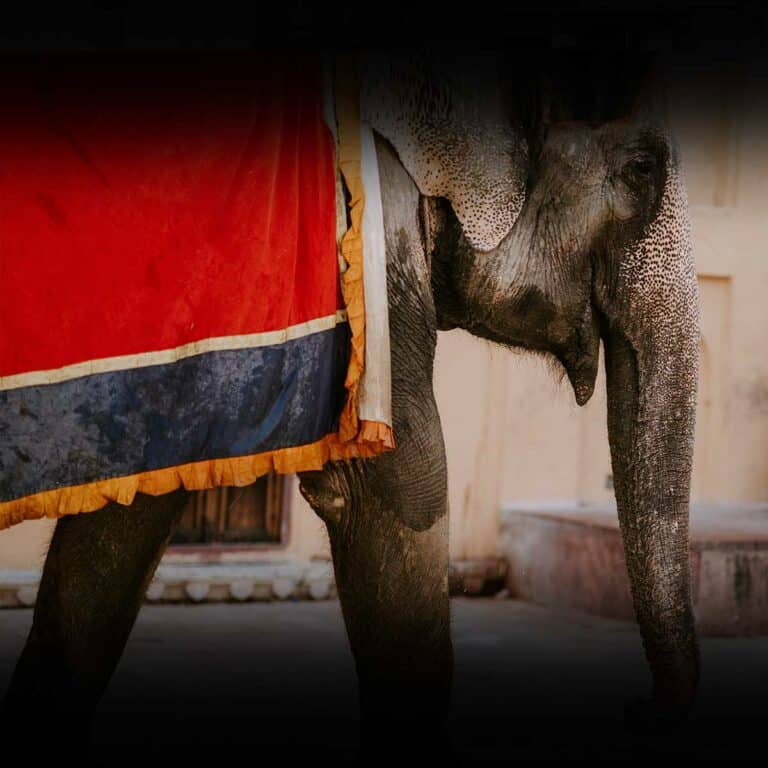 EDUCATION AND SHARING DAY - April 9, 2025 - National Today