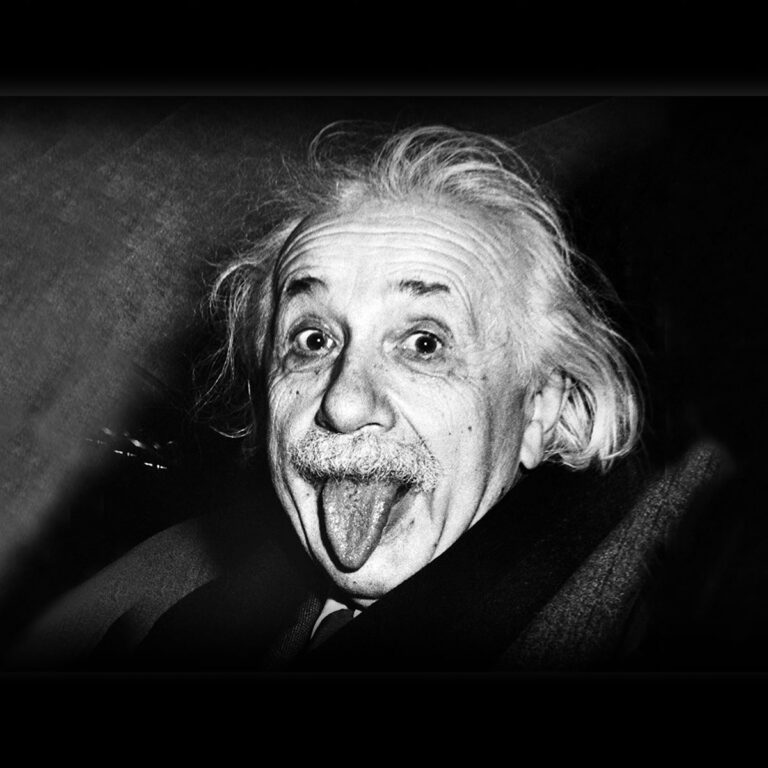 SAVE A SPIDER DAY - March 14, 2025 - National Today