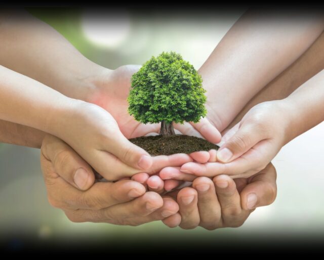 DAY OF TREES - April 29, 2023 - National Today