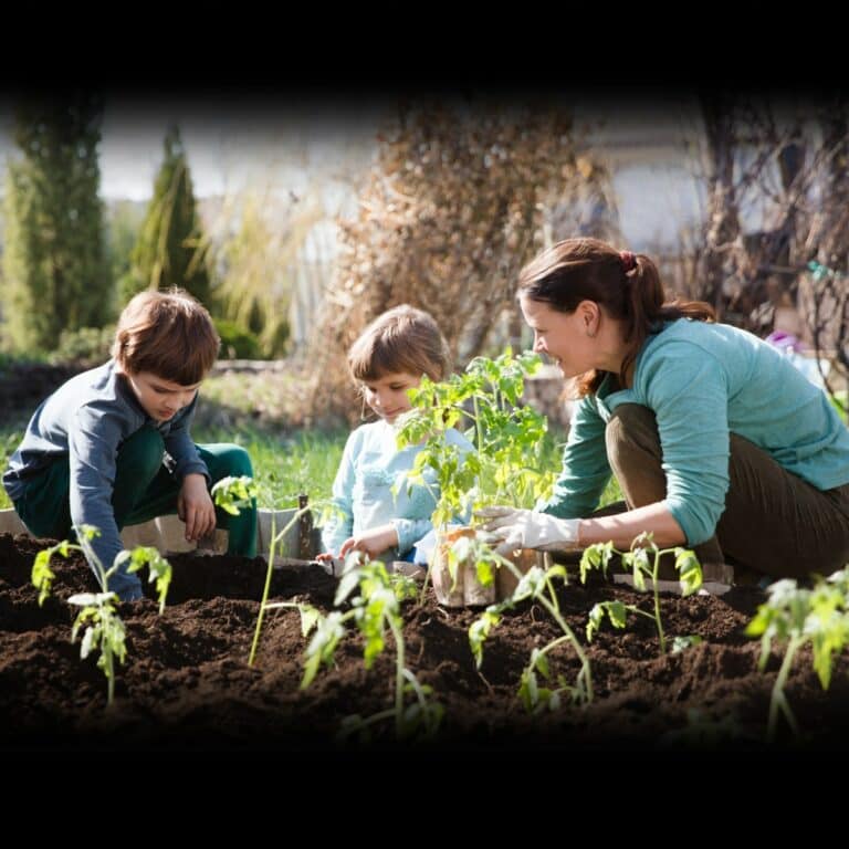 CROP OVER - August 4-11, 2025 - National Today