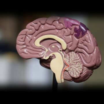 May 12 | Holidays, Birthdays, Events