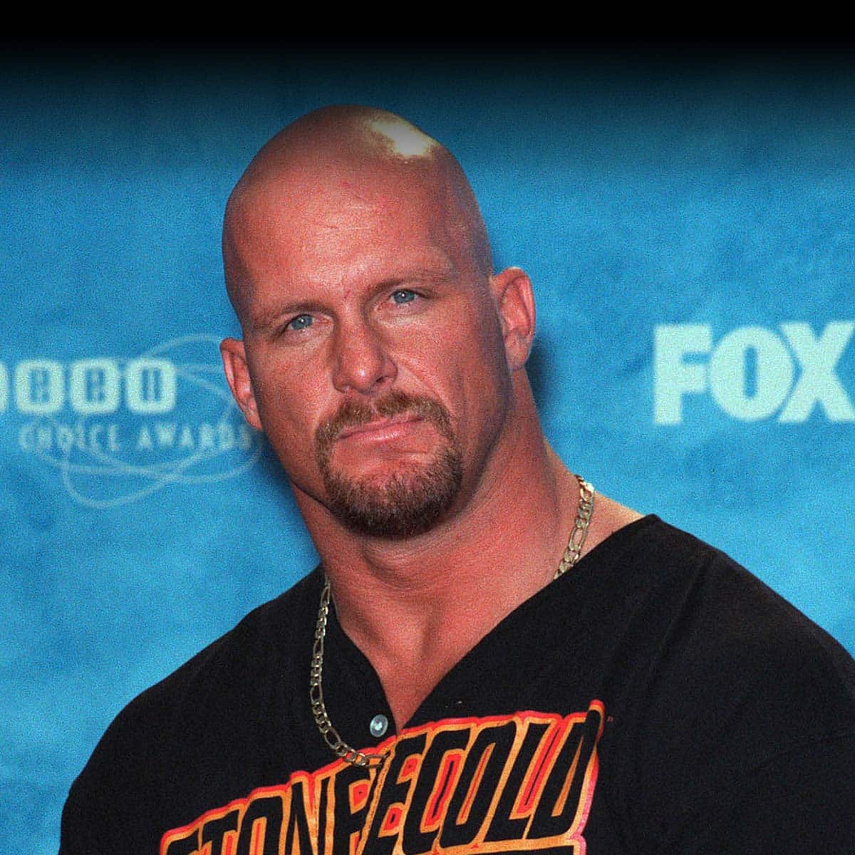 Steve Austin Steve Austin