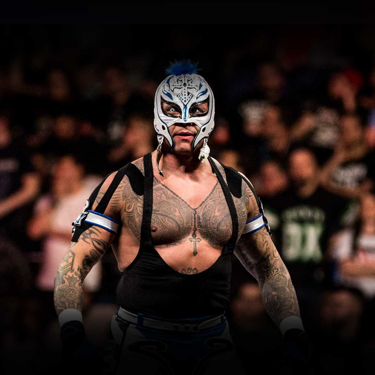 Rey Mysterio Family