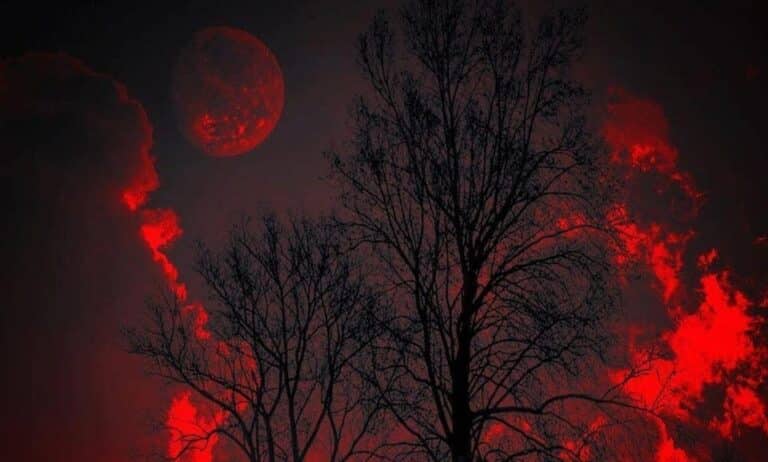 130 Vampire Names 2023 - National Today