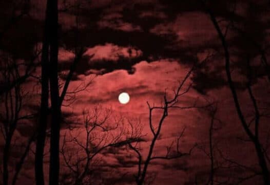 130 Vampire Names 2023 - National Today