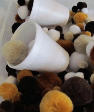 35 Groundhog Day Activities 2023 - National Today