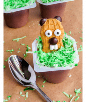 35 Groundhog Day Activities 2023 - National Today