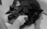 NATIONAL PARVO AWARENESS DAY - April 27, 2027 - National Today