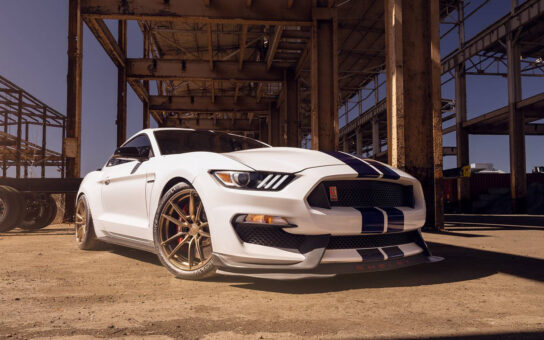 NATIONAL LIVE FEARLESS DAY - September 2, 2025 - National Today