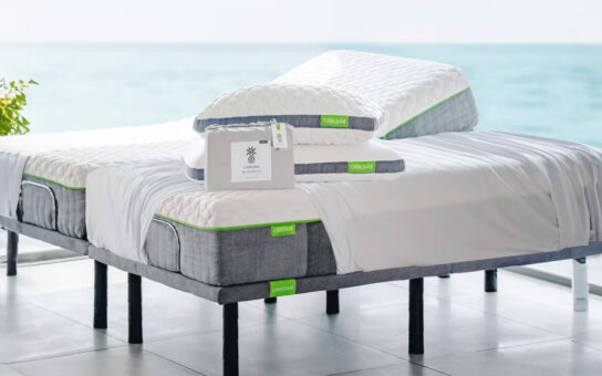 NATIONAL LIVE FEARLESS DAY - September 2, 2025 - National Today