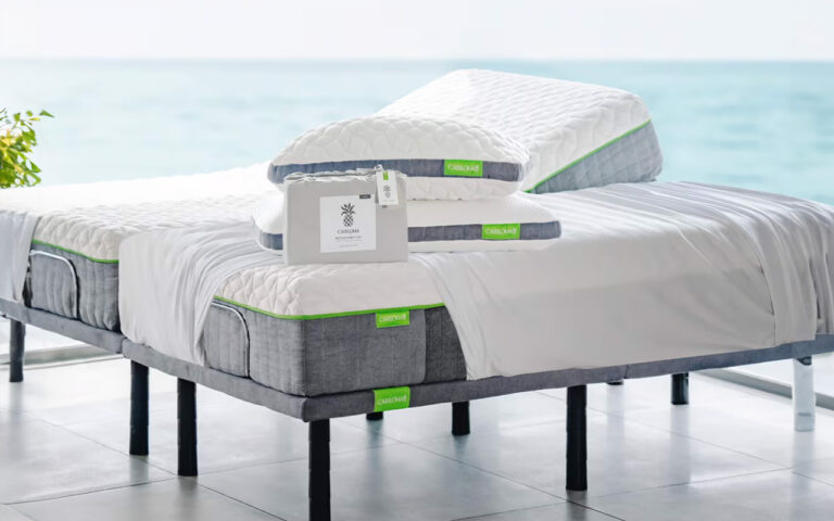 PPUR DAY - November 11, 2026 - National Today