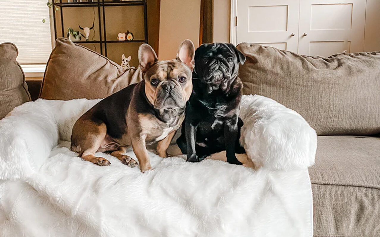 ANIMAL WELFARE WEEK - October 3-9, 2026 - National Today