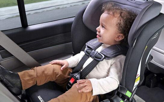 Intergeneration Month - National Today